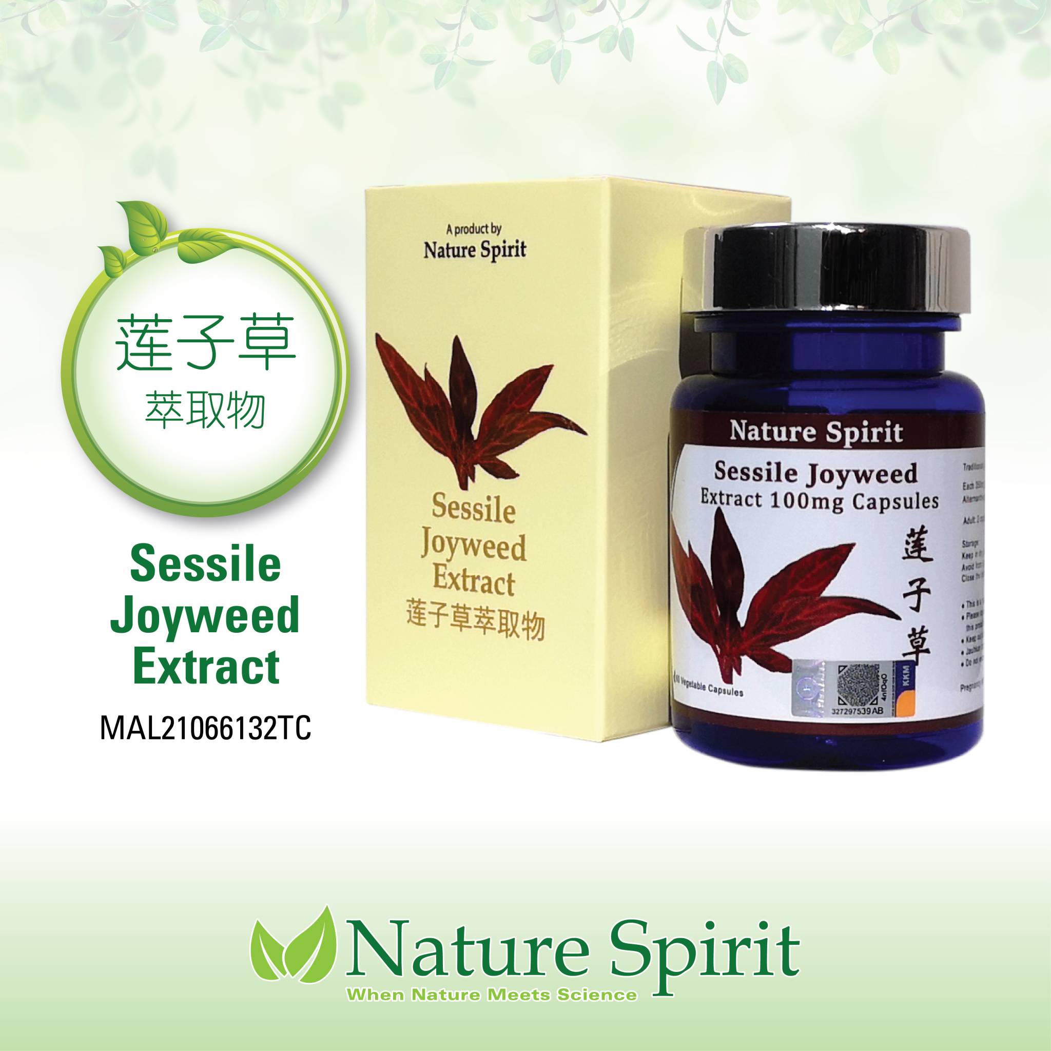 Nature Spirit Sessile Joyweed (Extract) – Nature Spirit